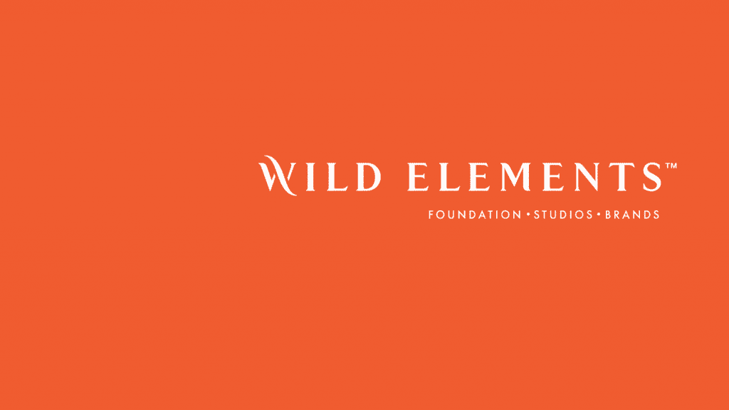 Getting to Work for Ecofeminism with WILD ELEMENTS